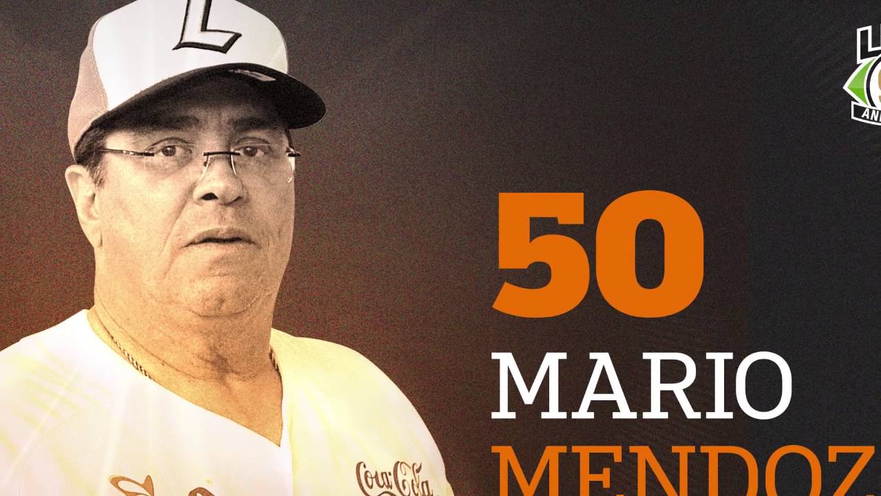 ℹ ¿Quién es Mario Mendoza?