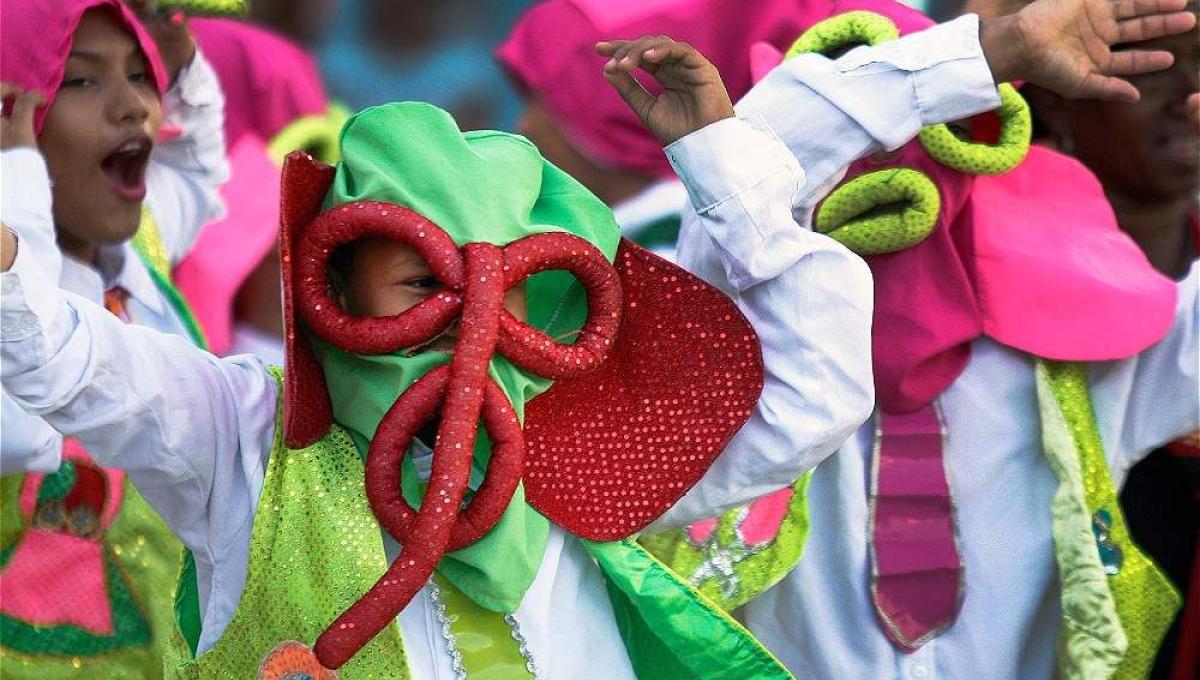 ℹ Descubriendo a la marimonda barranquillera: Una joya cultural de ...